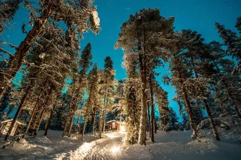 winter night activities